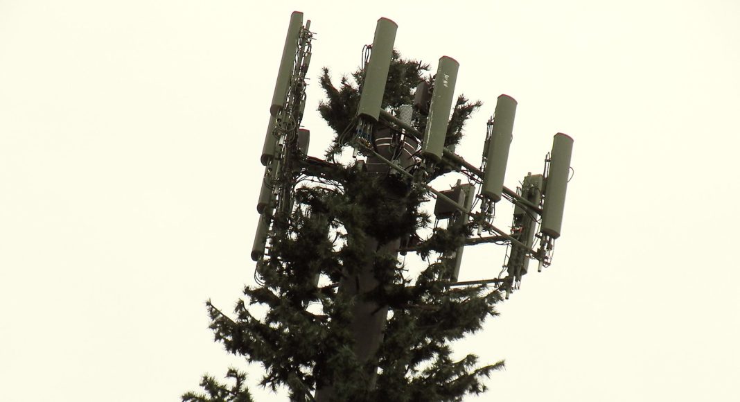 Cell Tower News: 2 more tower deaths; cities use fake tower devices