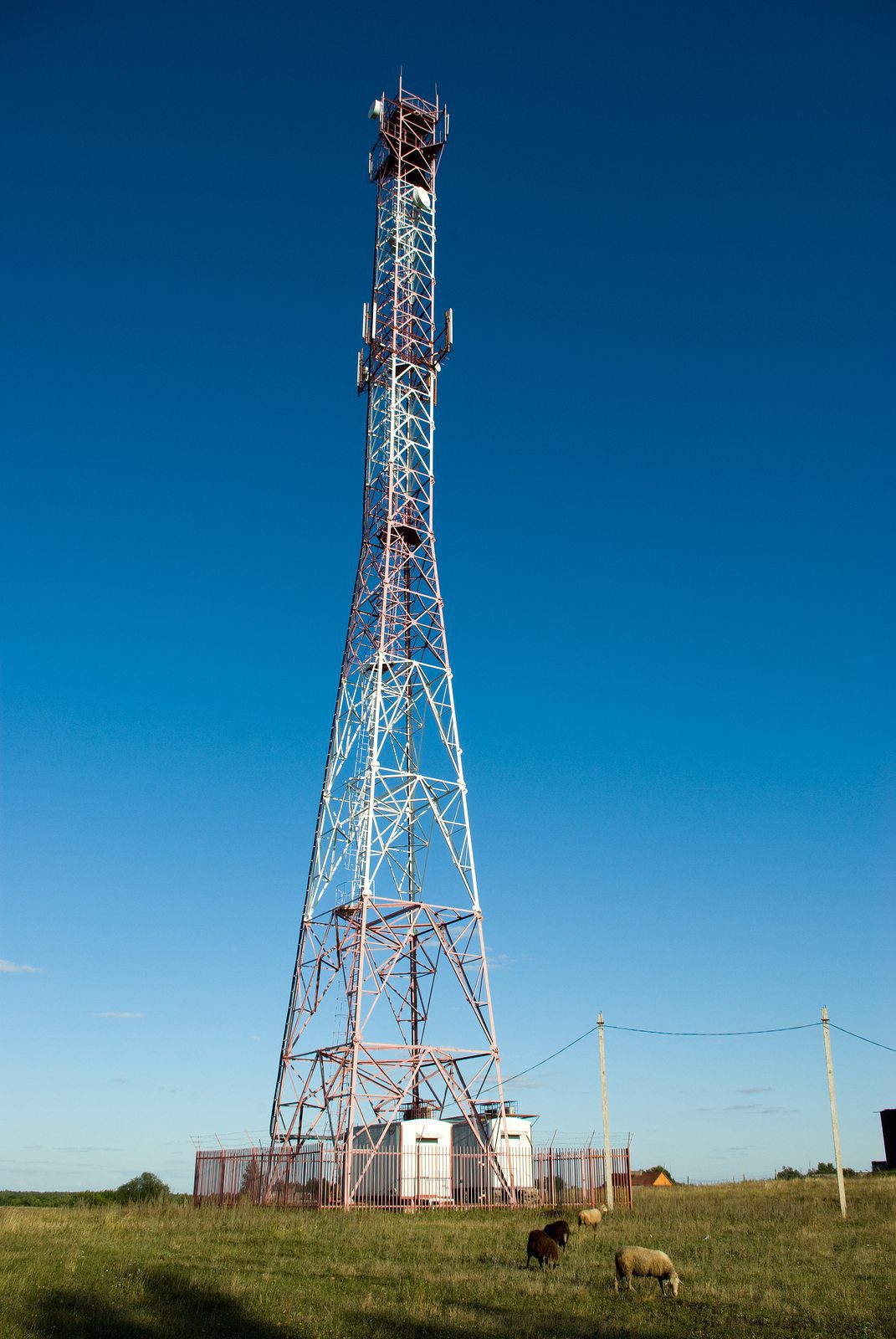 Vertical Bridge CEO talks trends and staying private at scale | RCR ...