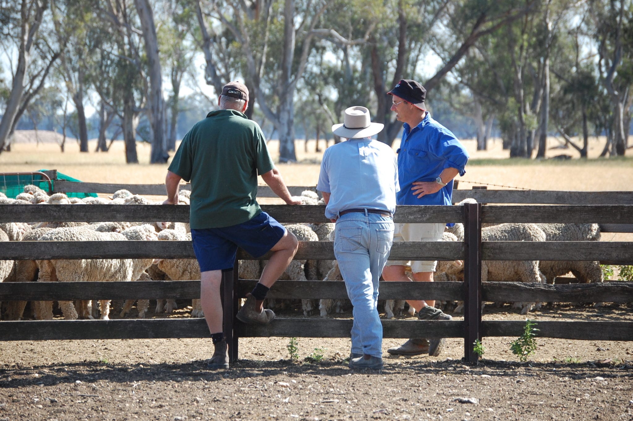 Government funds LoRaWAN network for farmers in Australian state of ...